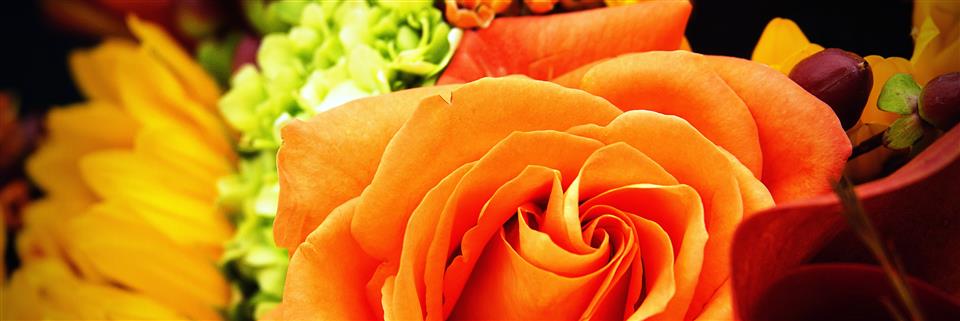 Kay's Florist Rialto Dublin 8 Order Online 00353 1454 9608